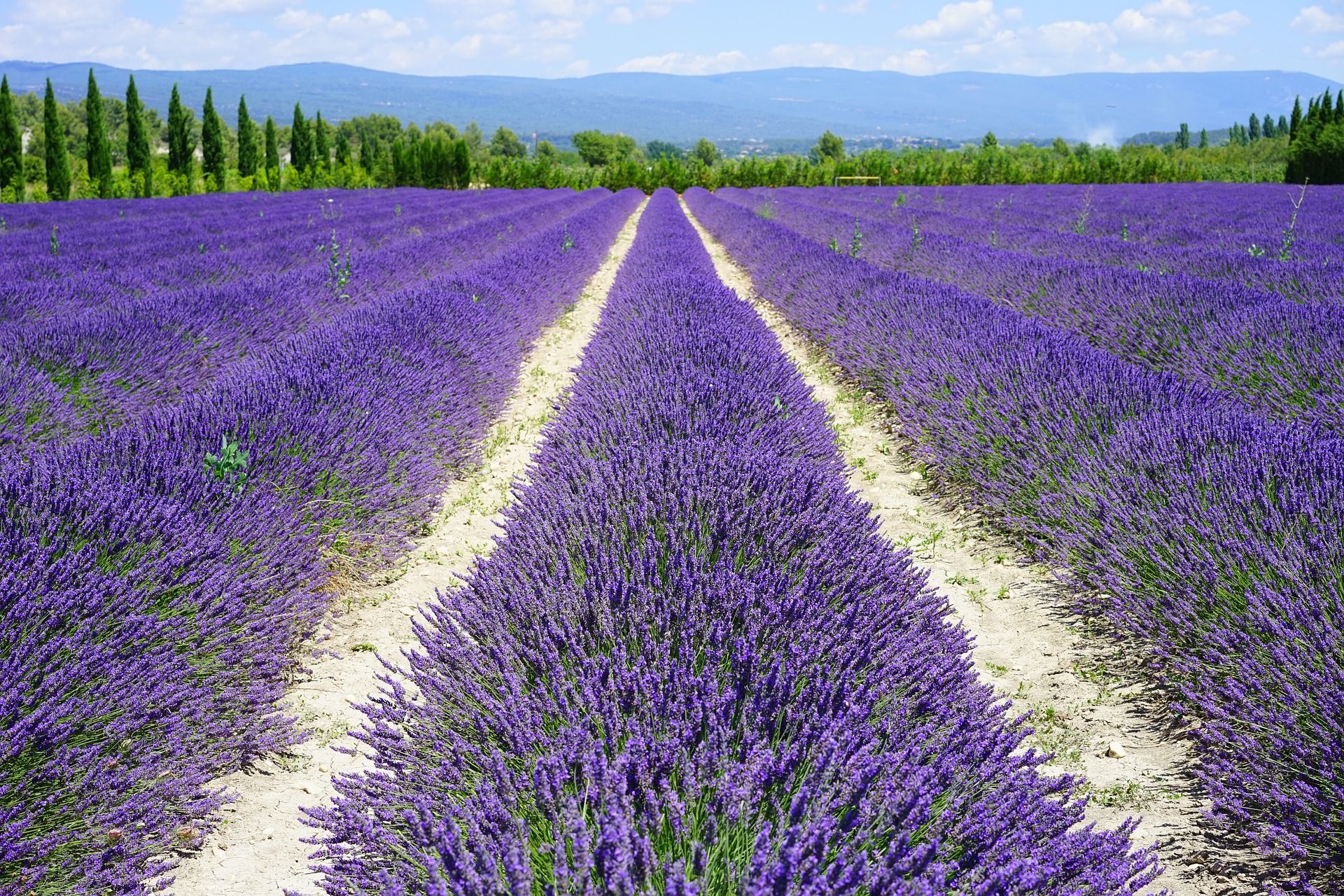 10 idées de destinations pour partir en Provence cet été