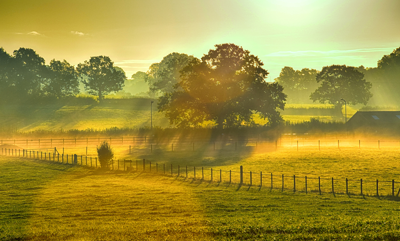 Vacances campagne en France : Top 10 des meilleures destinations